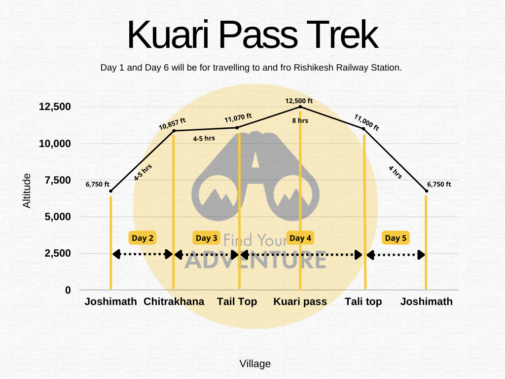 Kuari Pass Trek, Uttarakhand (with transport) 2026 - Findyouradventure.in